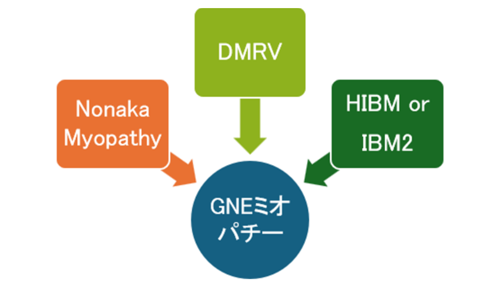 疫学・歴史｜縁取り空胞を伴う遠位型ミオパチー（GNEミオパチー）｜疾患を考える／助成制度・支援情報｜ノーベルファーマ株式会社