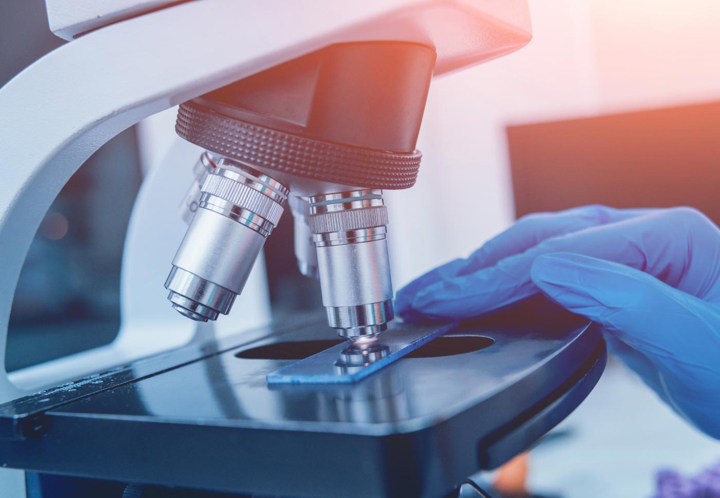 Development Stories: LUNABELL® LD, NOBELZIN® | Our Stories "Lamp ...